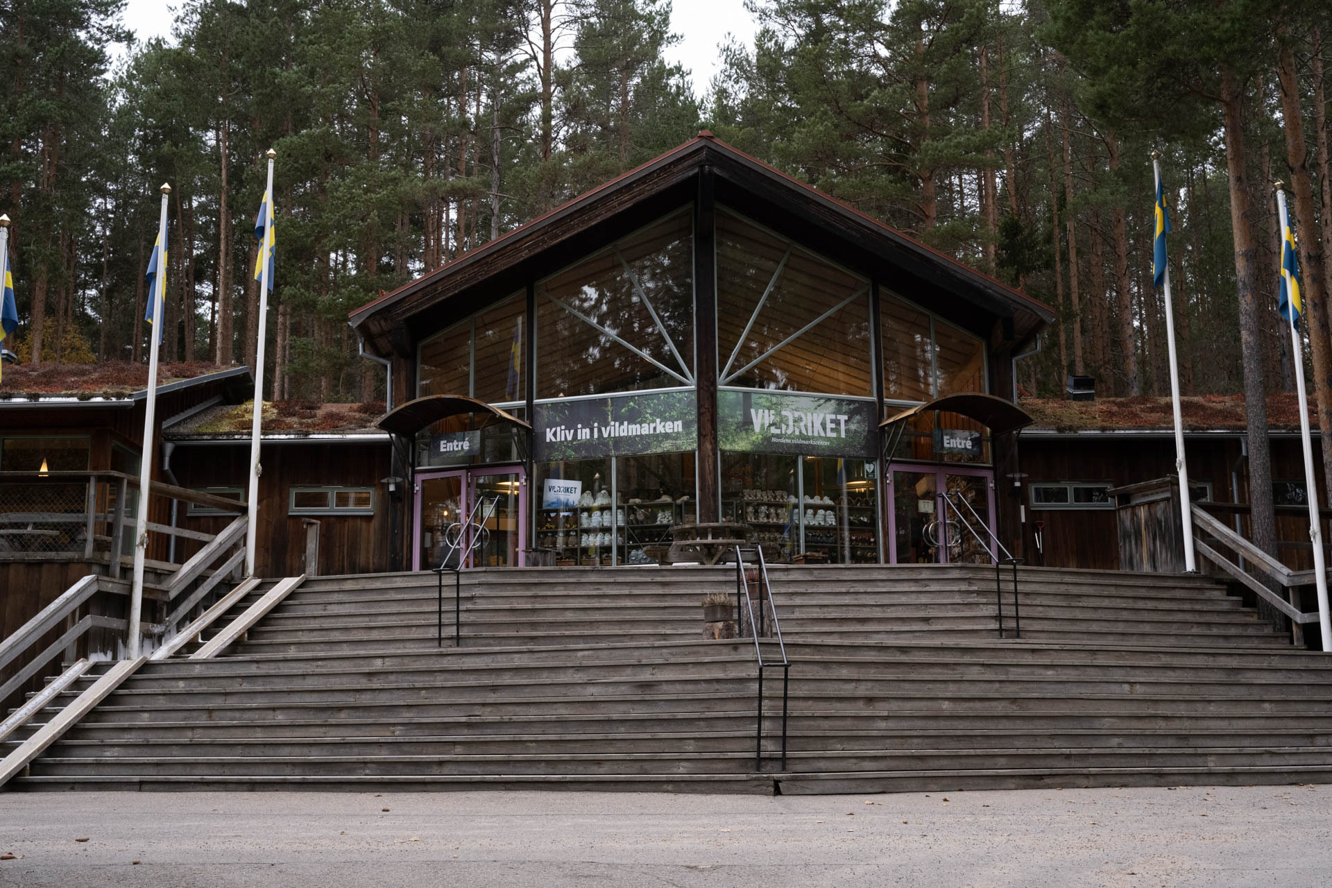 Vildriket i Järvsö, del 1 - Fotosidan