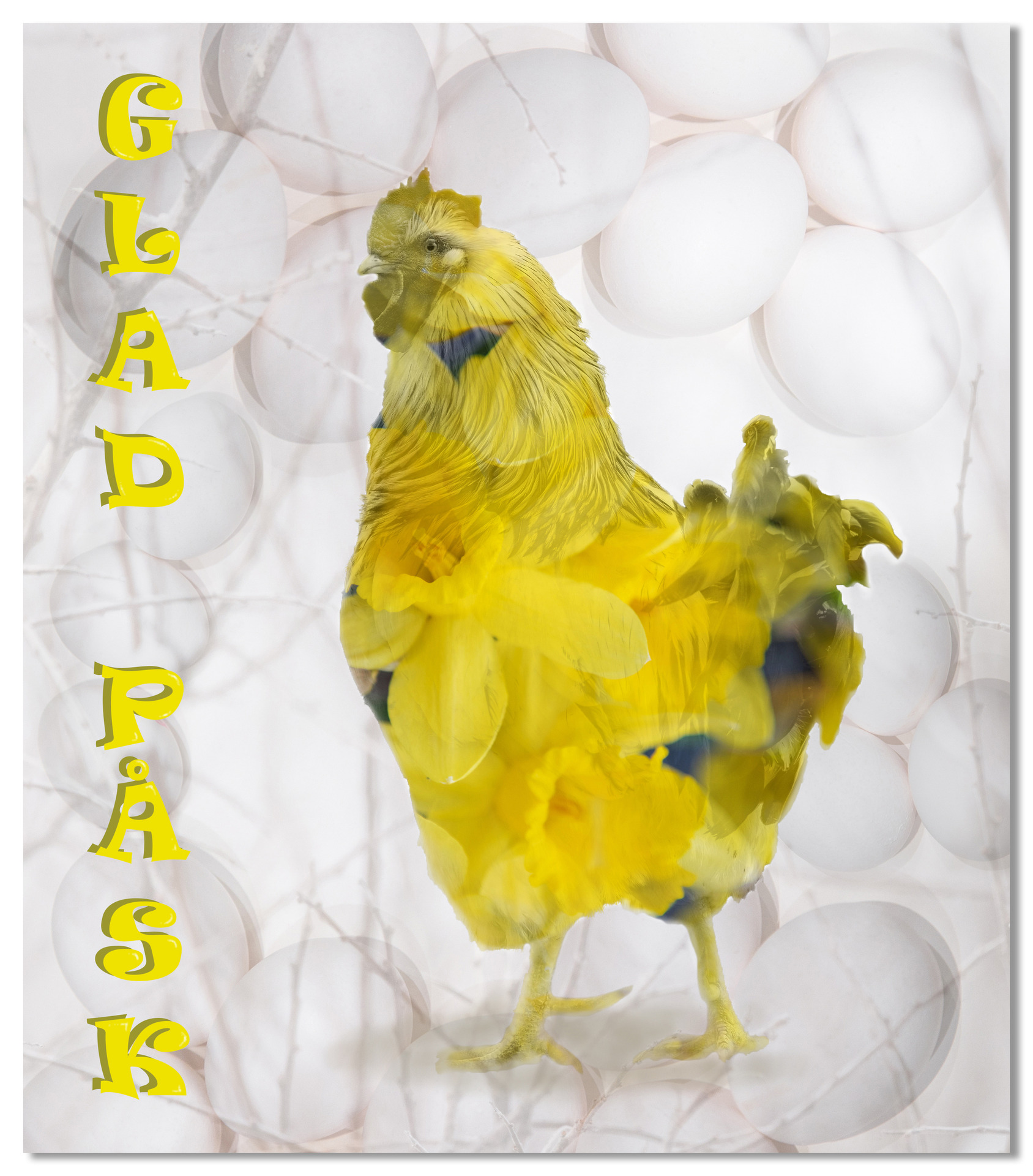 Glad påsk! - Fotosidan