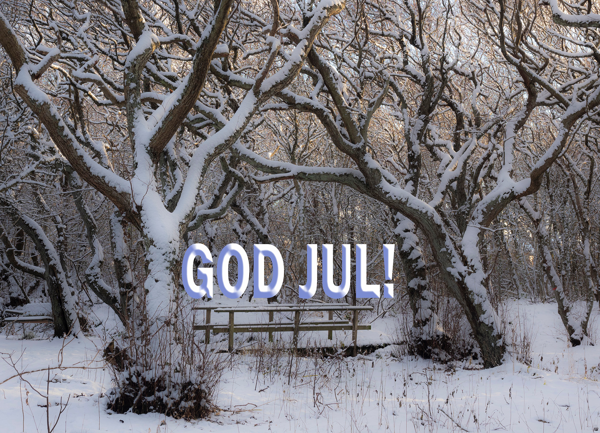 GOD JUL! - Fotosidan