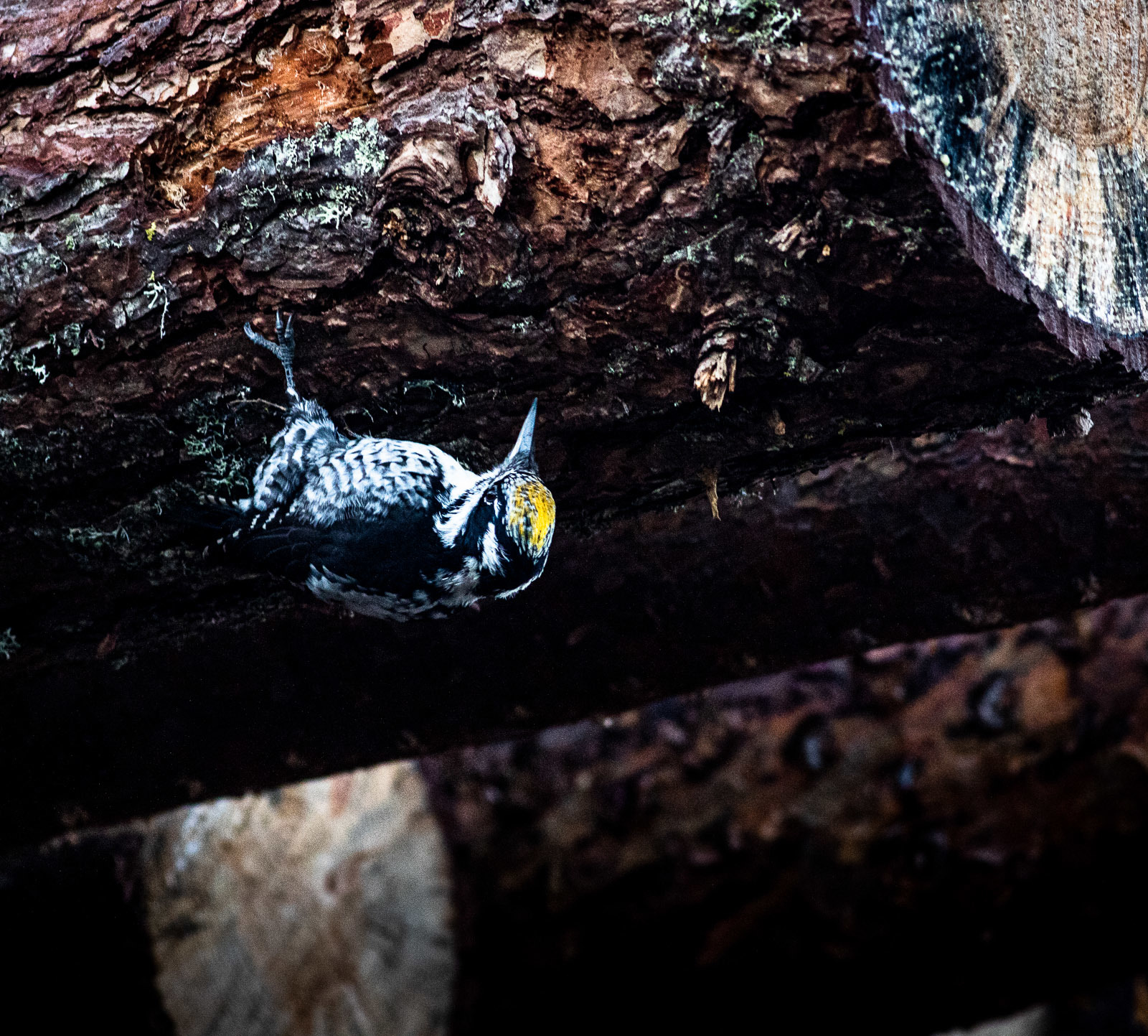 Nya tider - Fotosidan