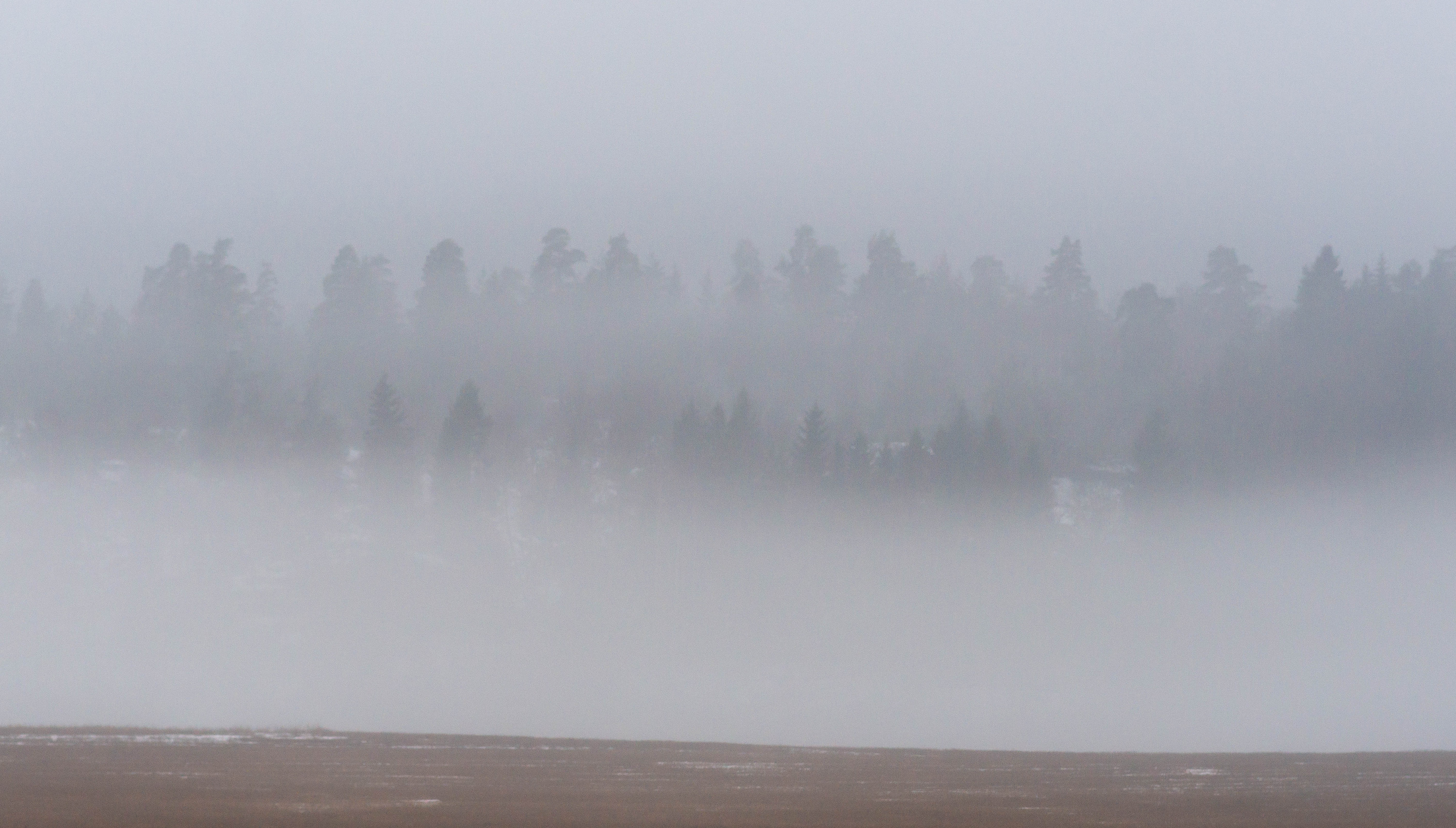 DIMMA ÖVER RISINGE - Fotosidan