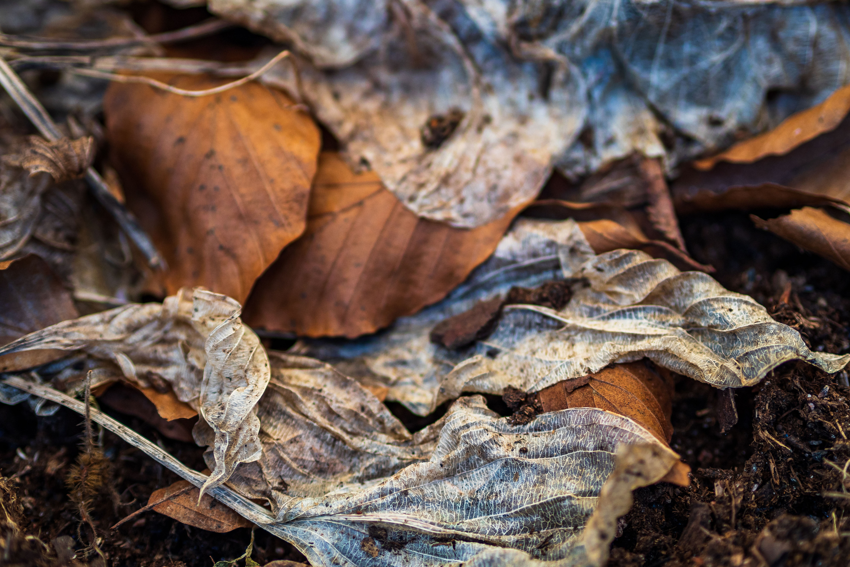 Av jord... - Fotosidan