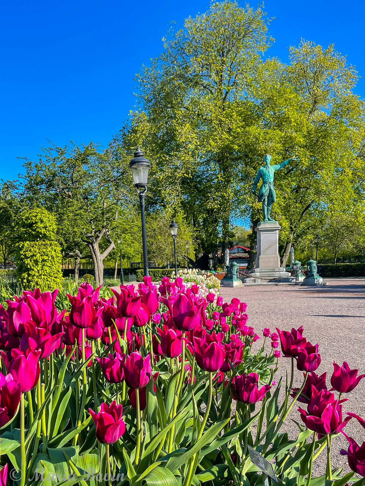 #3966. Karl XII 1709: Skicka blommor till Poltava!! - Fotosidan