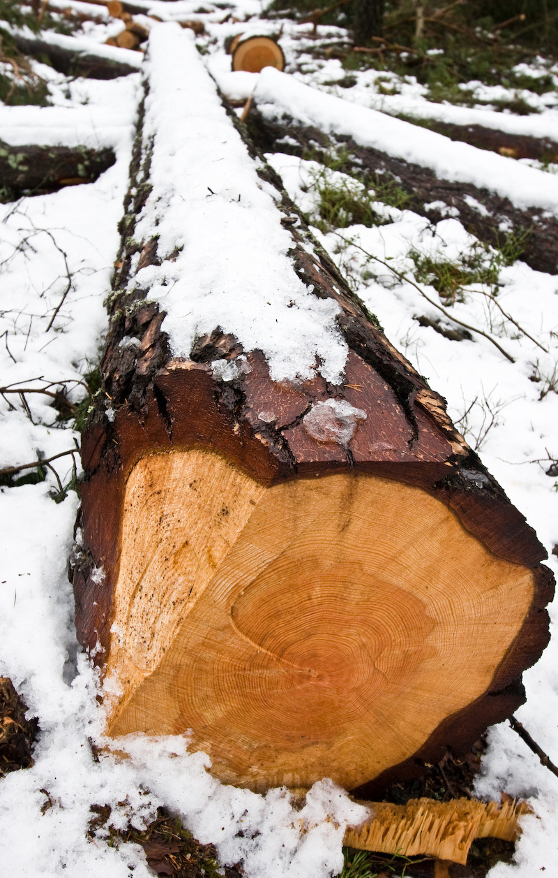 Exponerad okunskap - Fotosidan