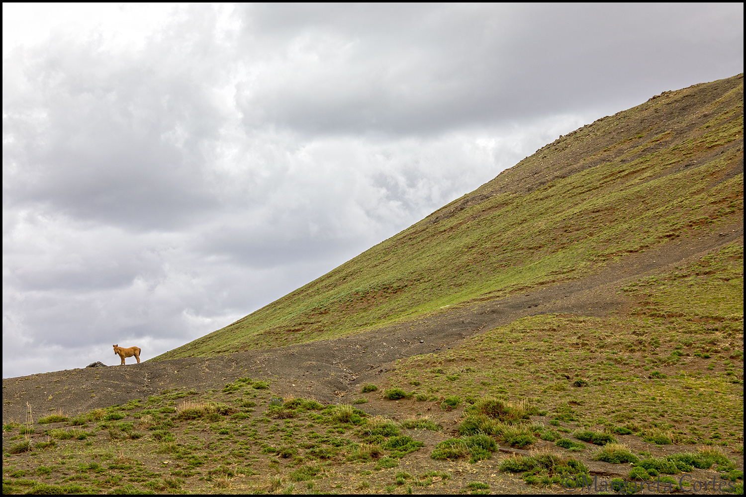 Yol valley en svalkande upplevelse. - Fotosidan