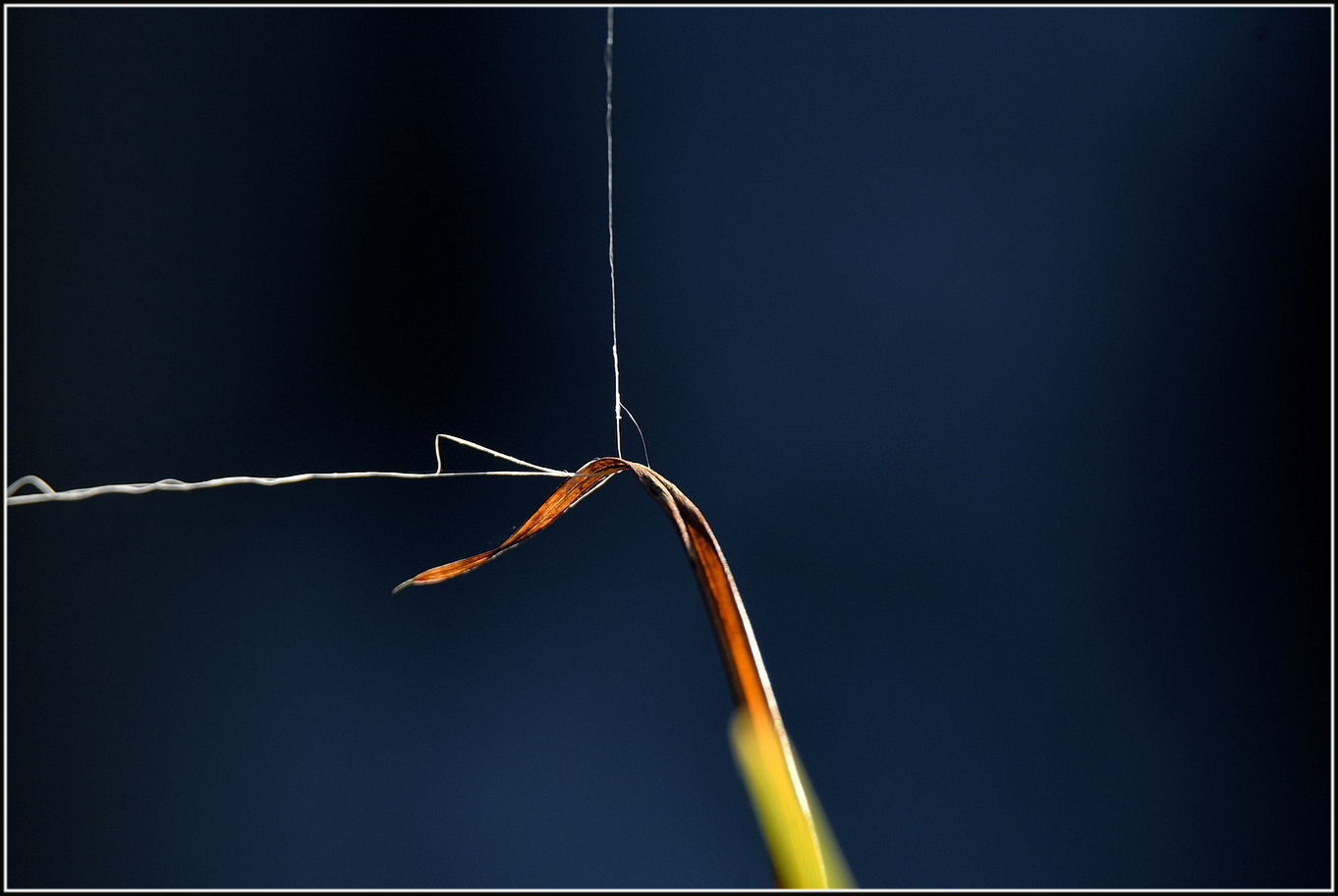 Utsikt från en ostmacka. - Fotosidan