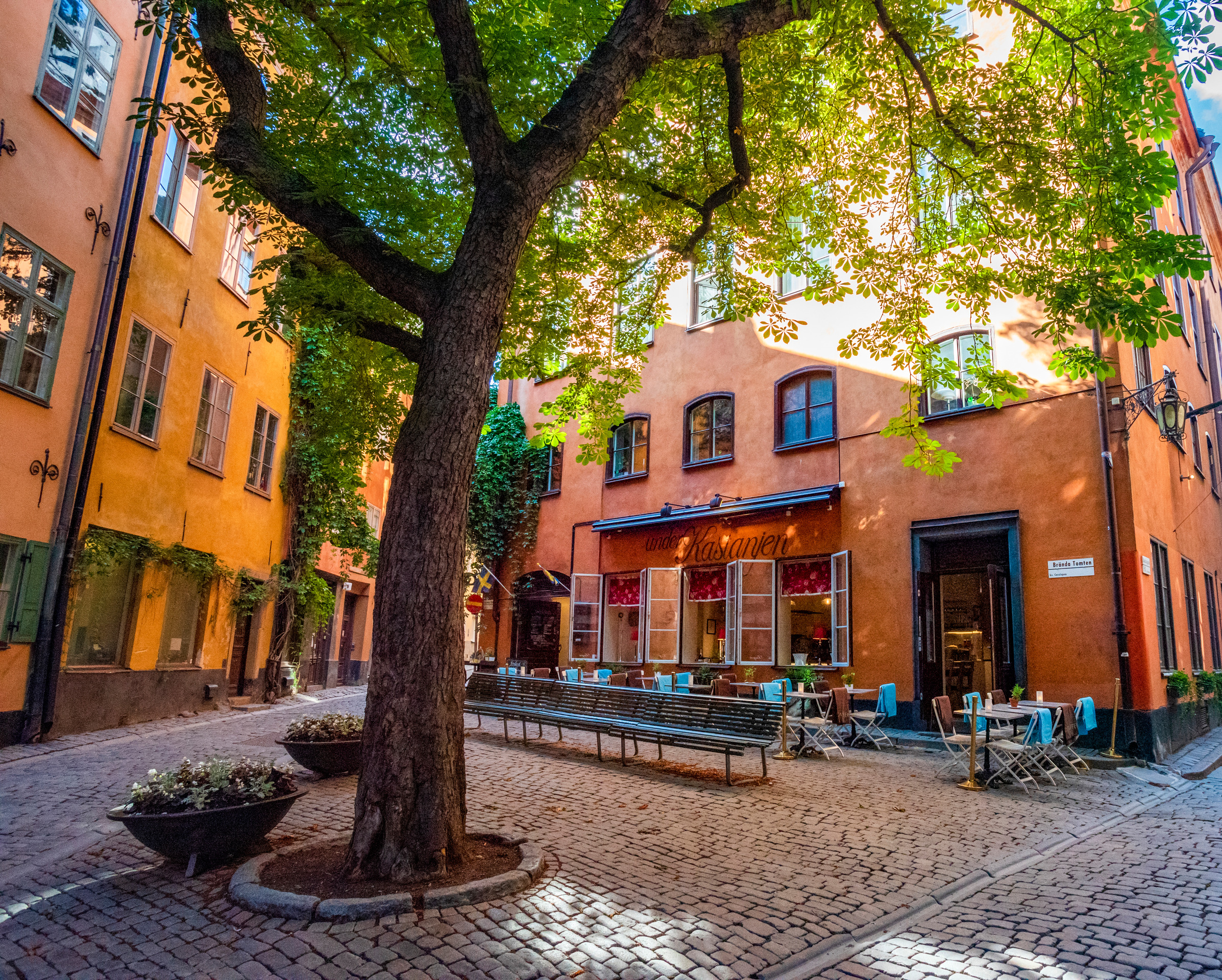 Brända tomten - Fotosidan