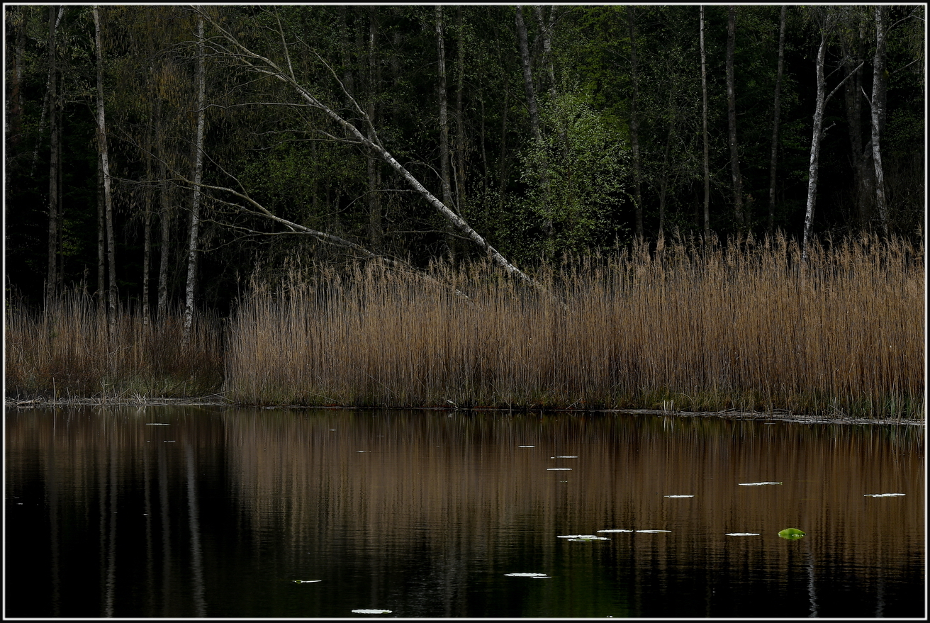 Åkulla och kulturskrot. - Fotosidan