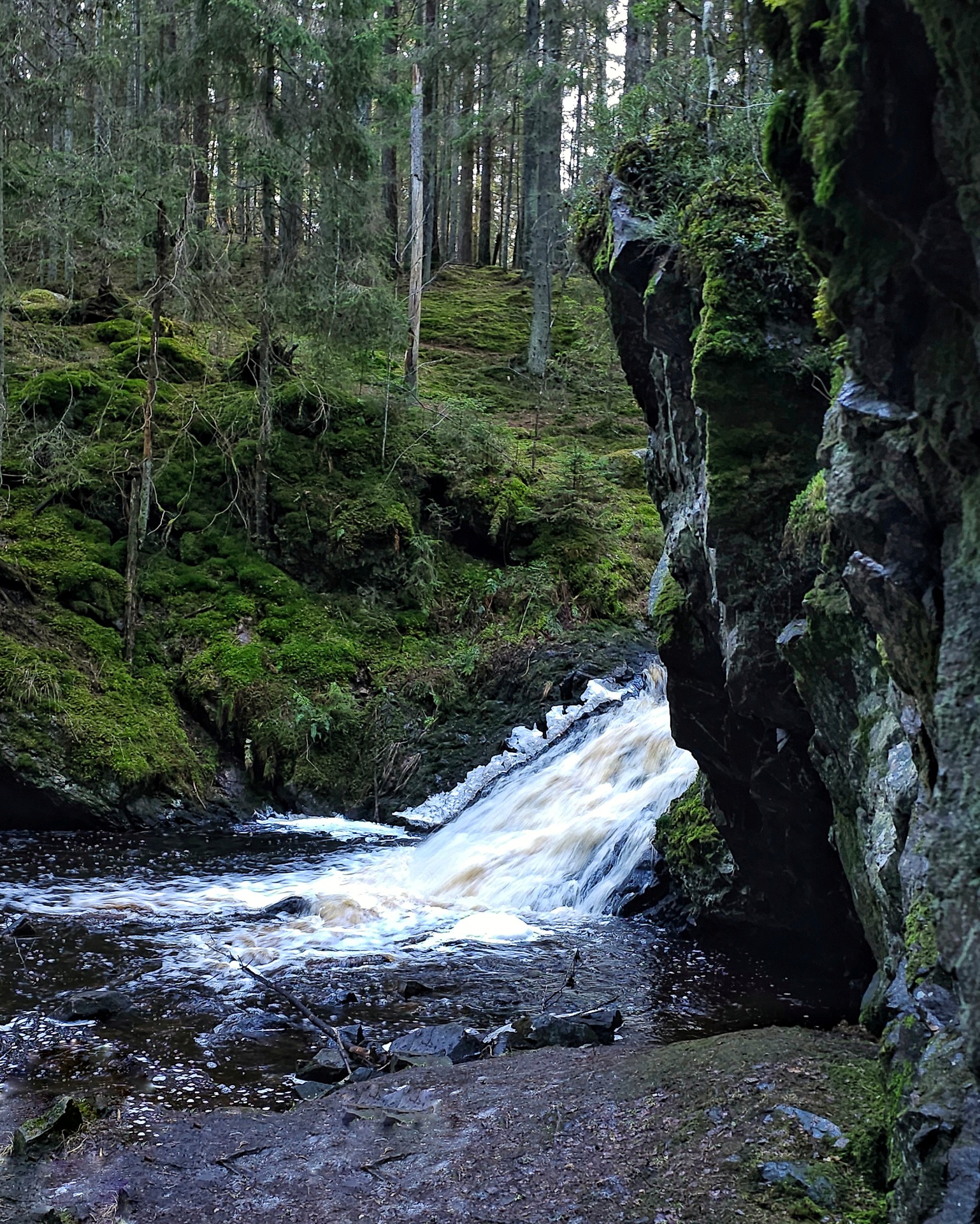 Promenad till Hassafall - Fotosidan