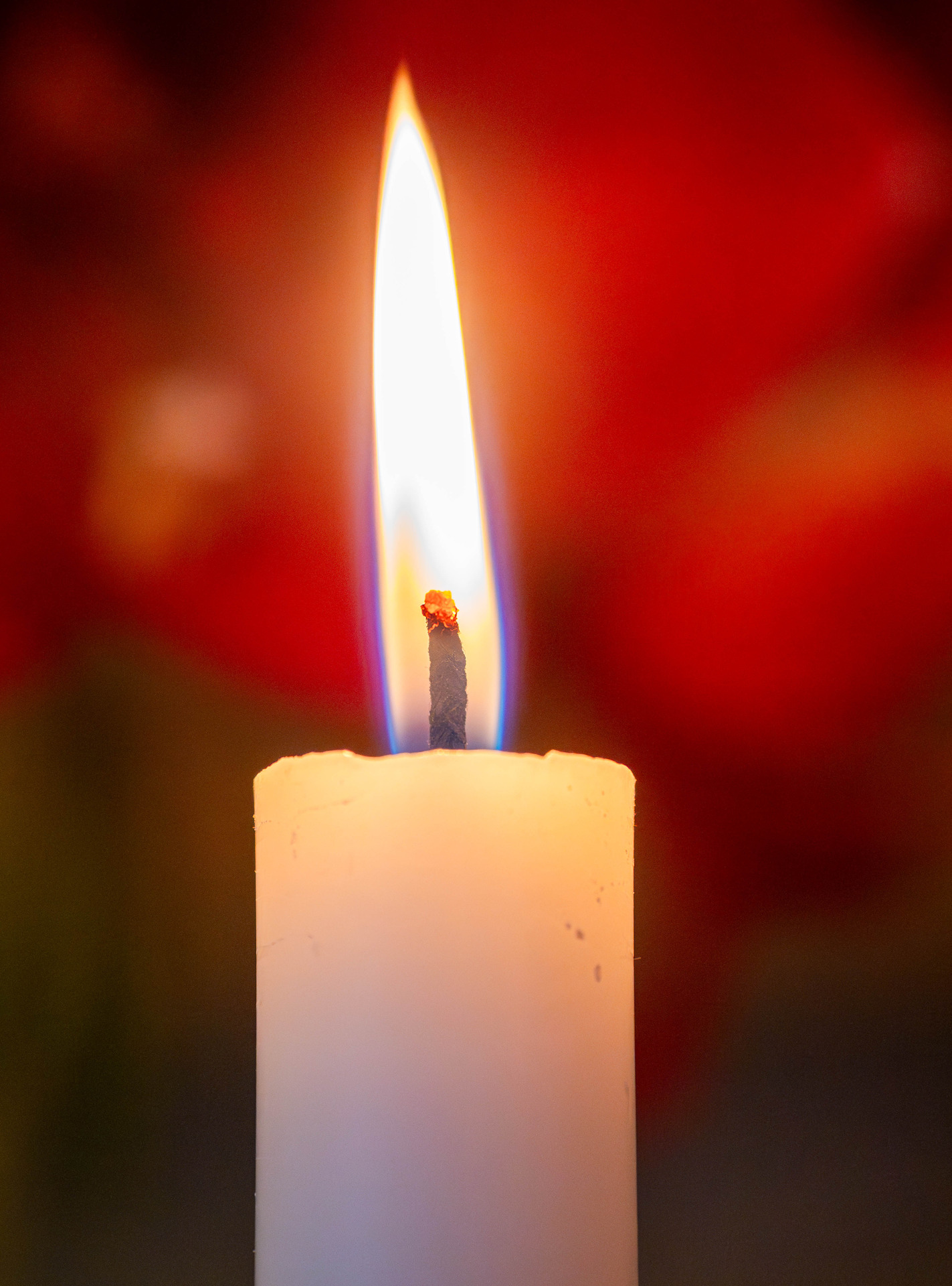 Glad advent! - Fotosidan