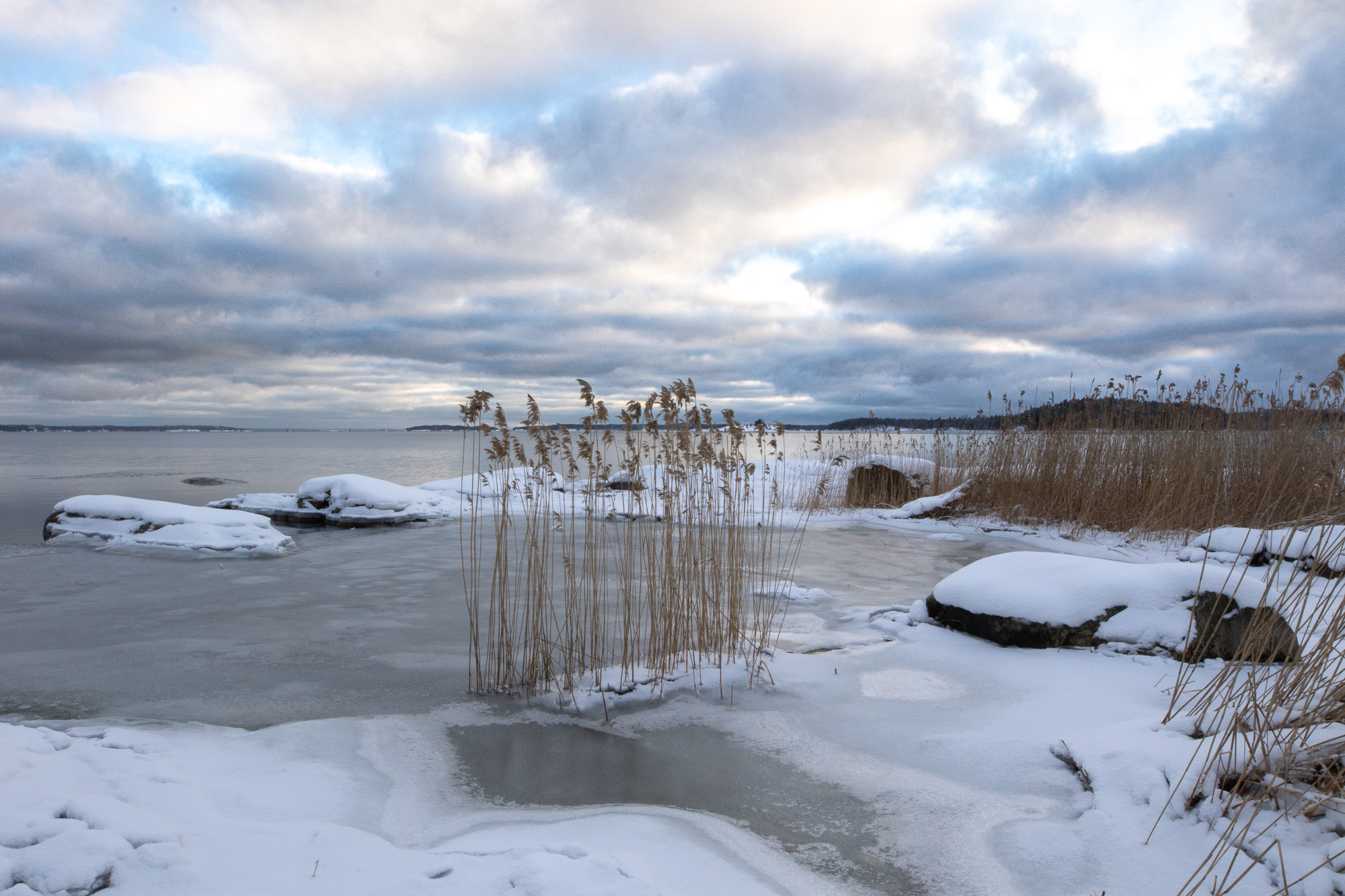Ett år senare - Fotosidan