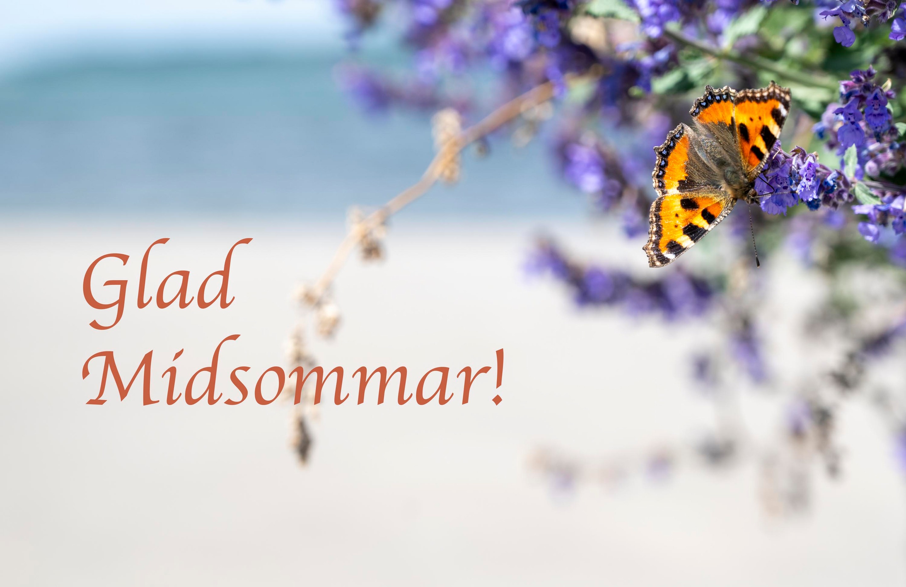 Glad midsommar - Fotosidan