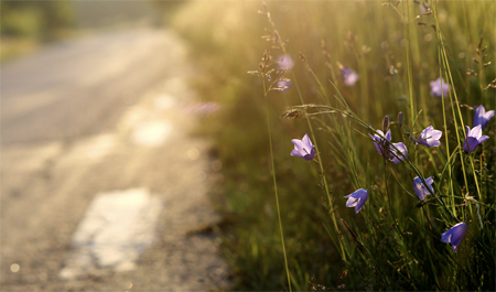 Summering Hemläxa 13: Semesterbilder - Fotosidan