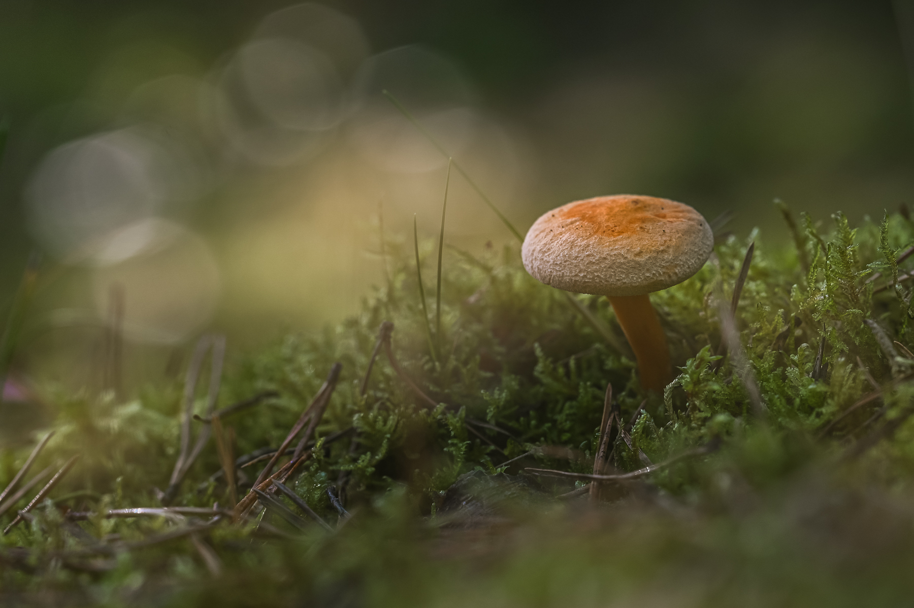 Melby Overdrev Danmark del 2 - Fotosidan