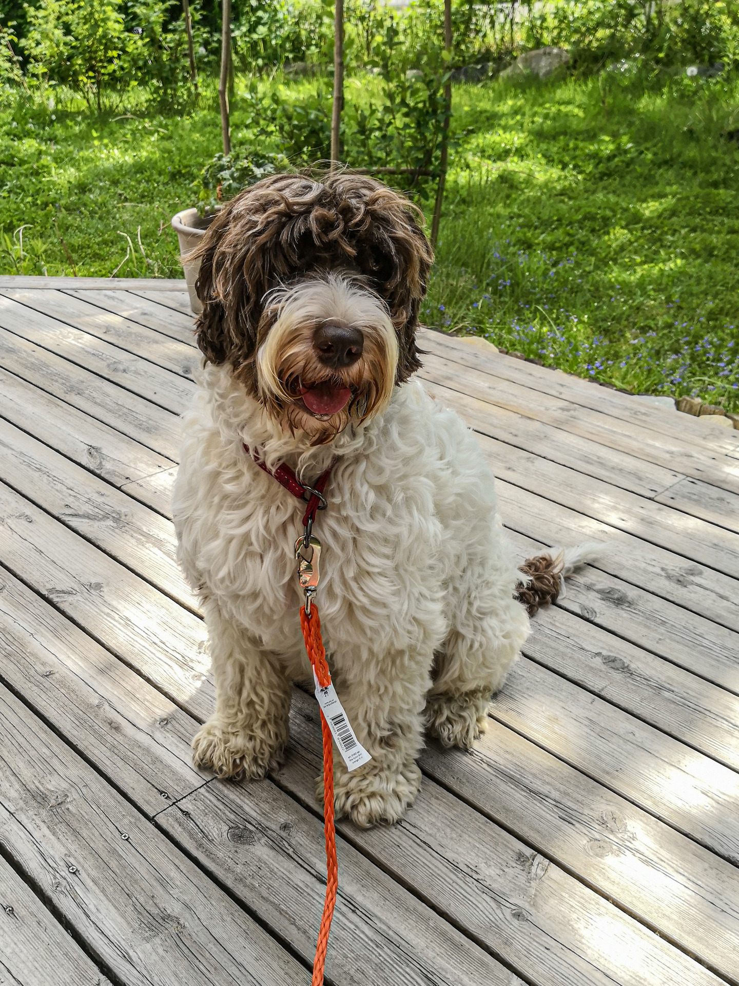 Nya rutiner - Fotosidan