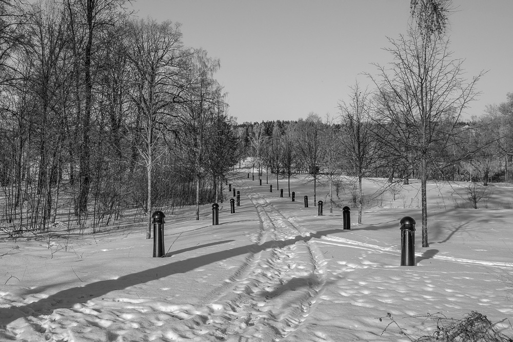 Februari: Grått och kallt och bloggen har fyllt 19 år. Inlägg 666 ...