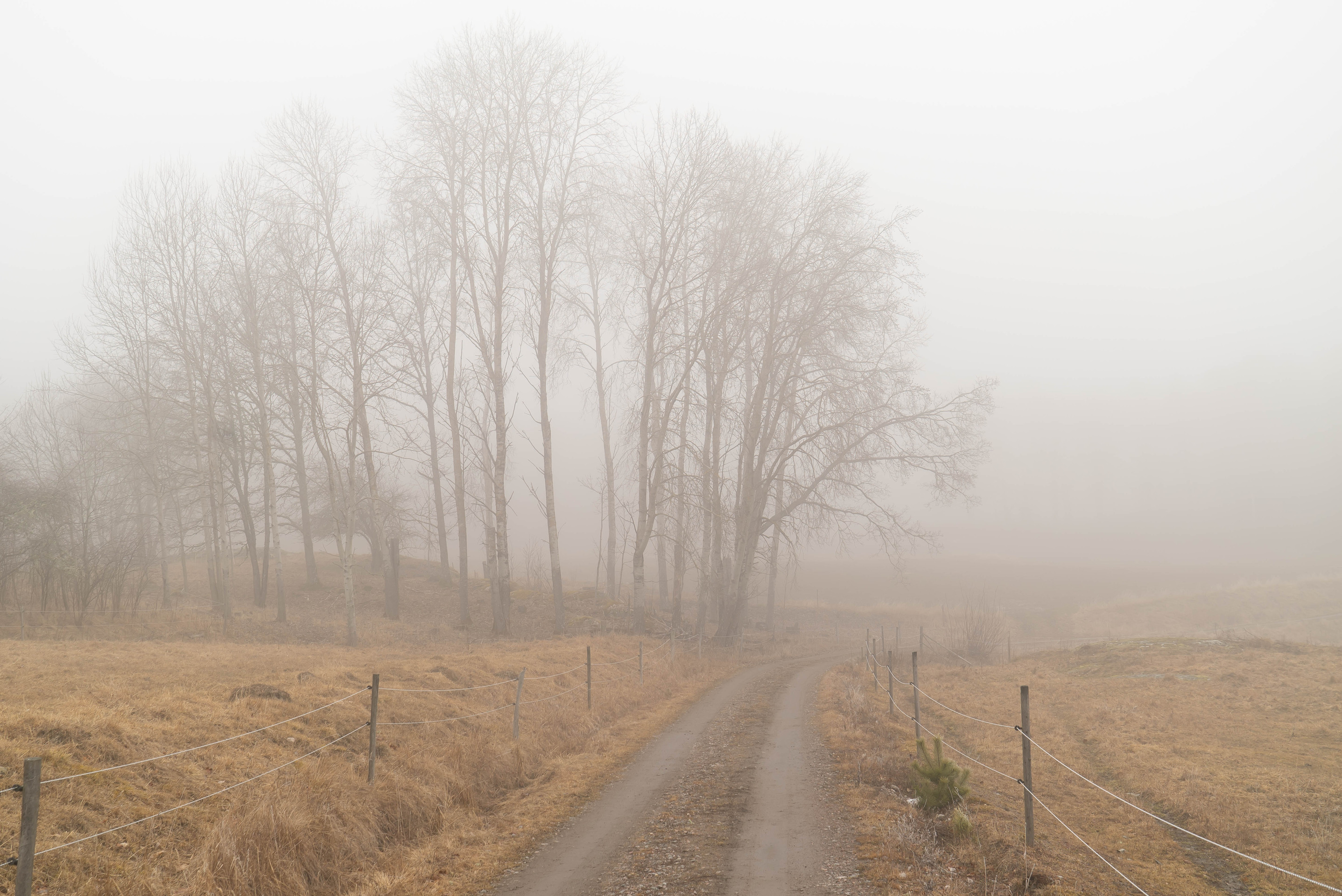 DIS OCH DIMMA IDAG - Fotosidan