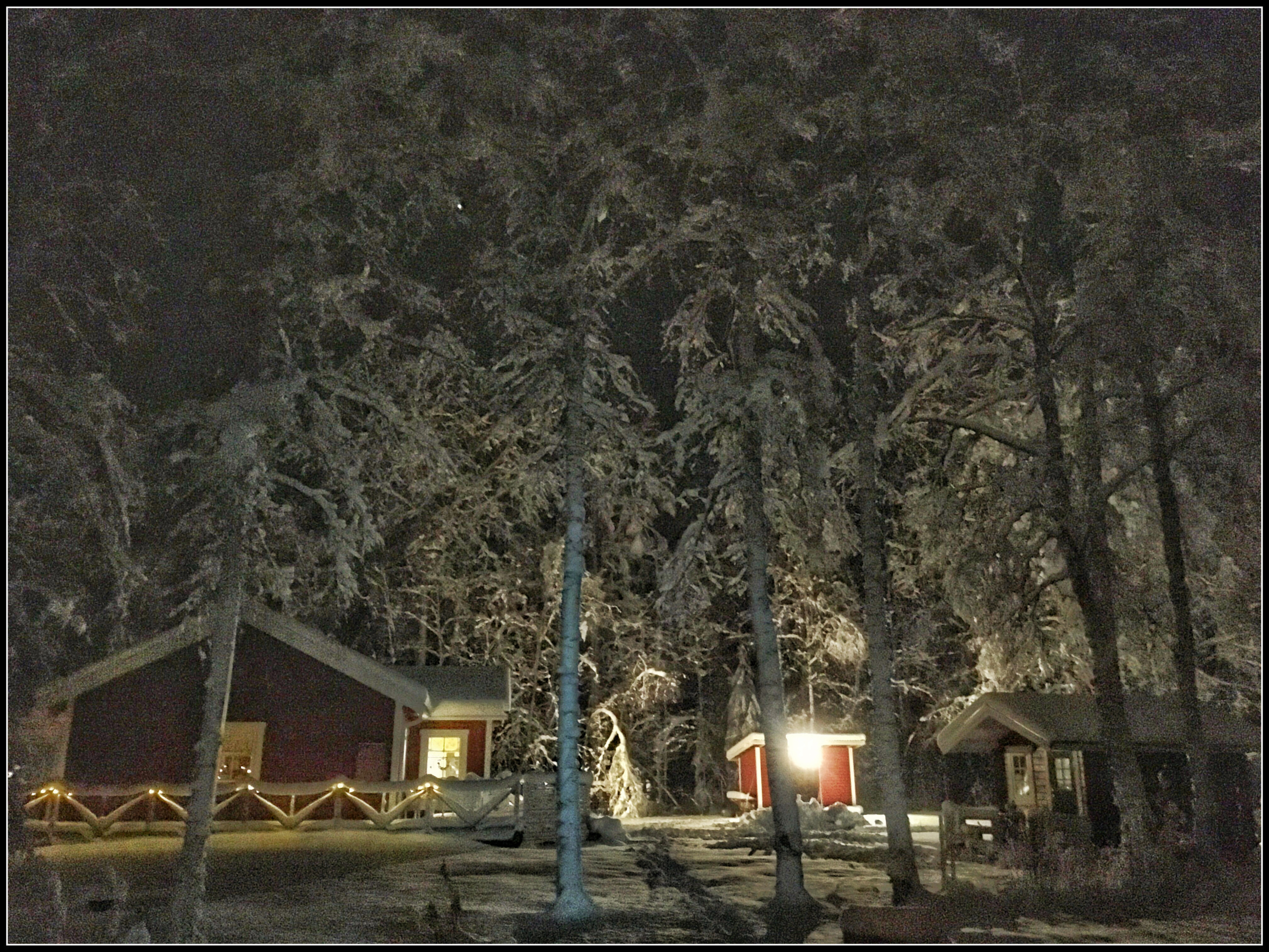 Mobilt muskedunder - Fotosidan