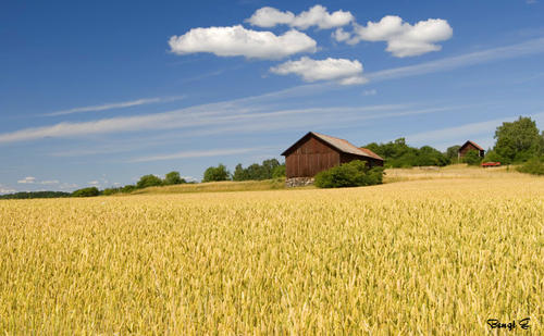 Svensk sommar - Fotosidan
