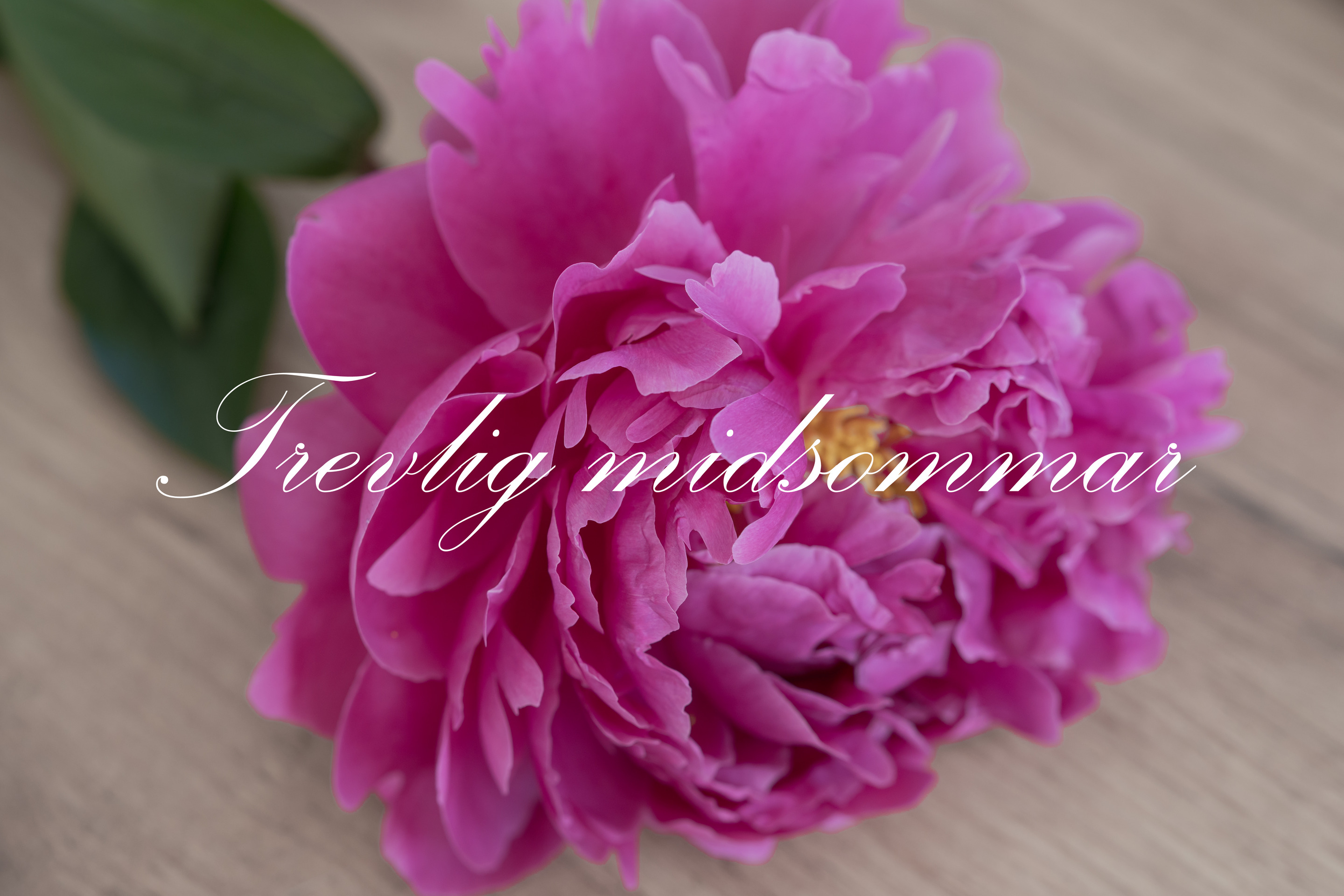 Midsommar. - Fotosidan