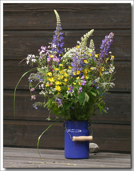 Trevlig midsommar! - Fotosidan
