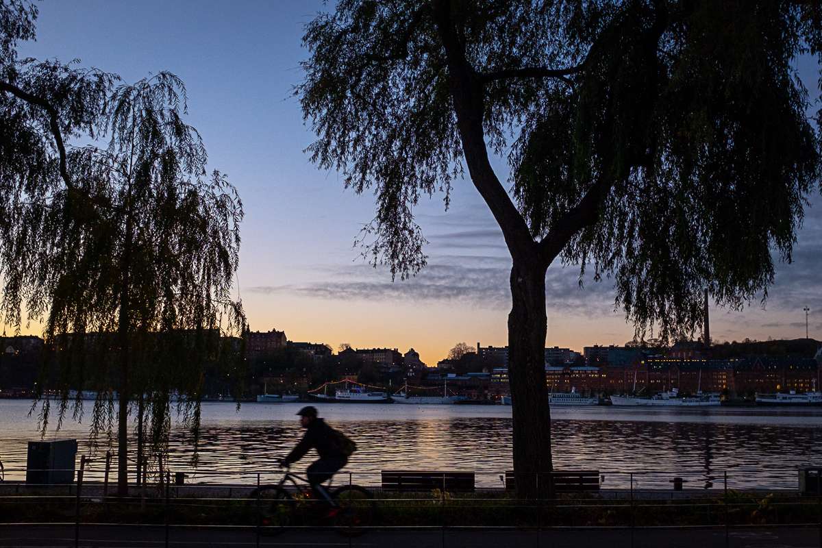 Dag 299 Fredag igen - Fotosidan