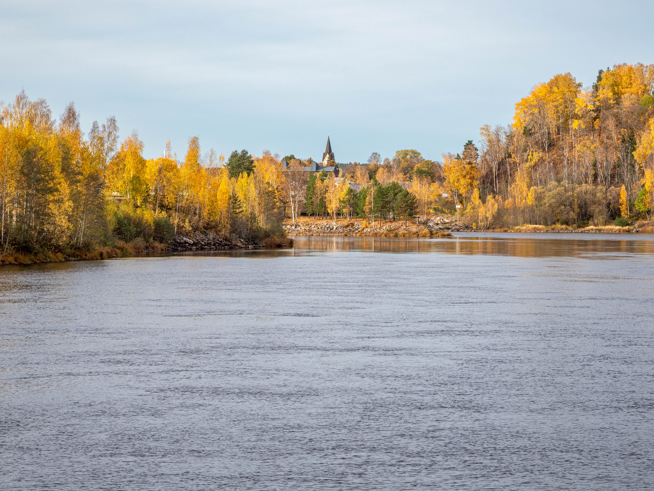 Björkarna vid Dalälven vid döda fallen i Avesta. - Fotosidan