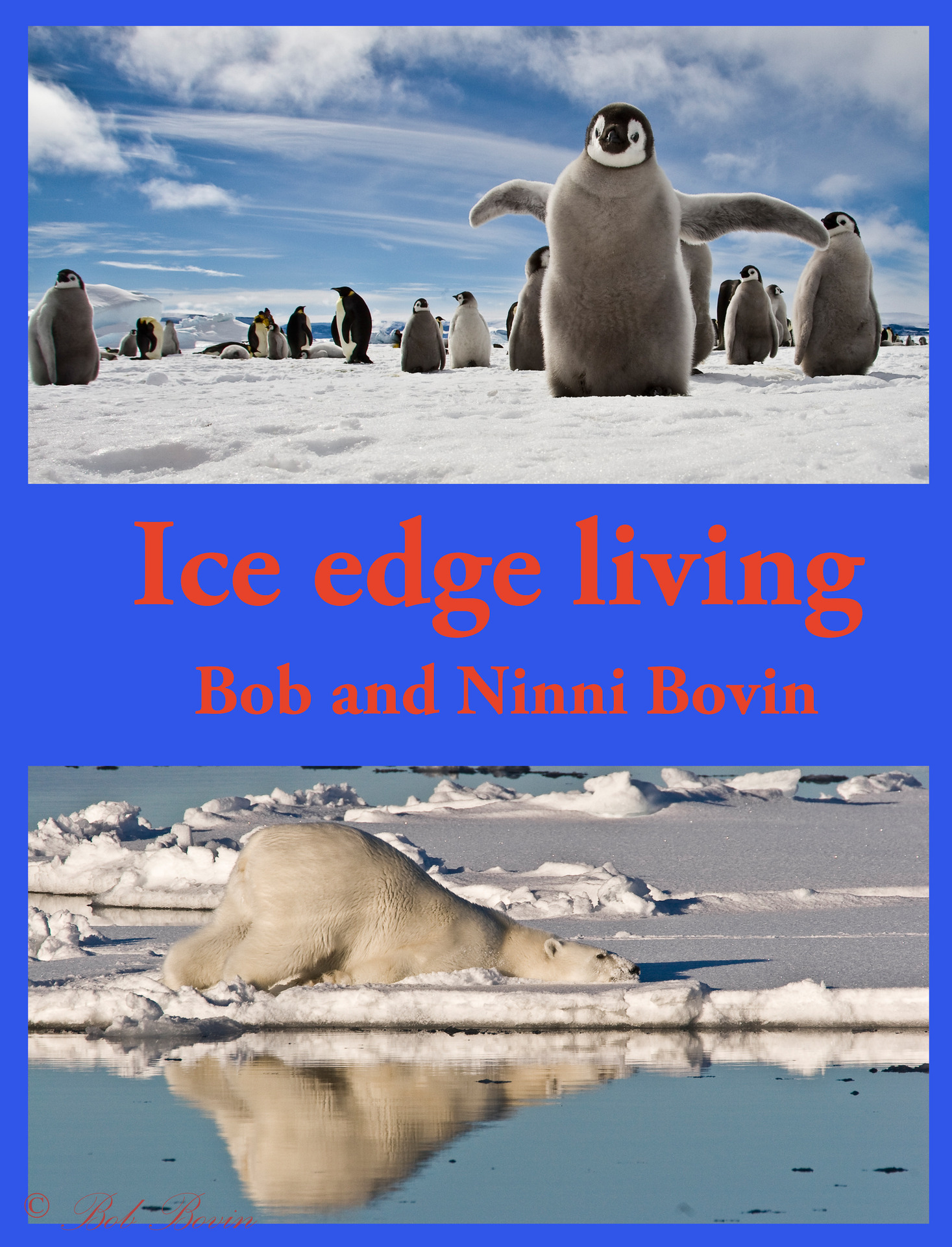 #4220. Boken “Ice edge living” med ISBN 978-91-985147-3-5 - Fotosidan