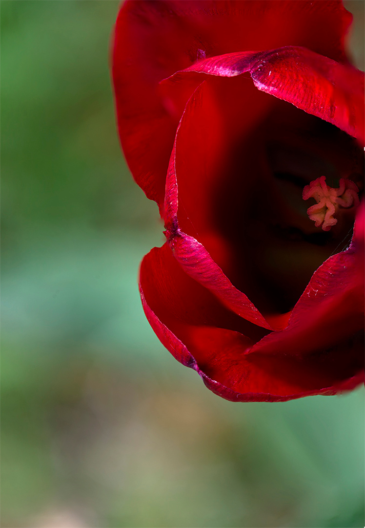Makronesien - Fotosidan