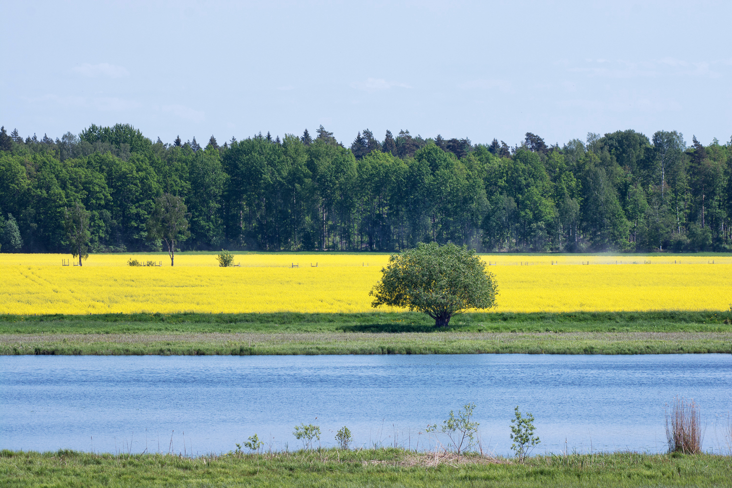 Borgåsund den tjugoandra maj - Fotosidan