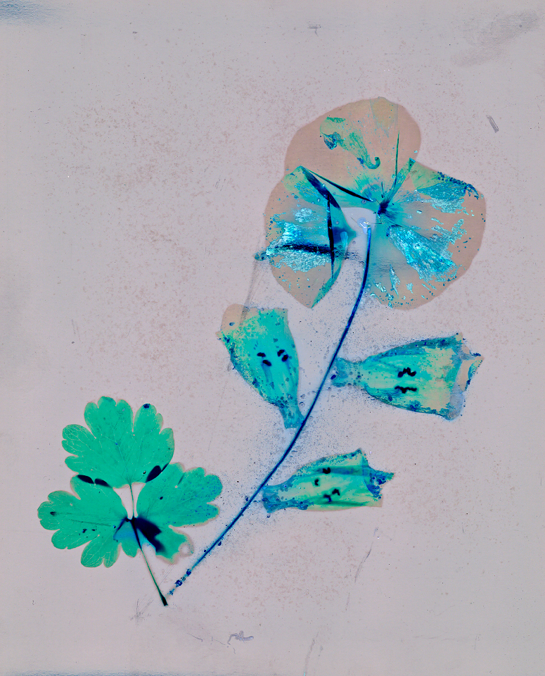 EMAKS BETRAKTELSER 701/Inverterade lumen prints - Fotosidan