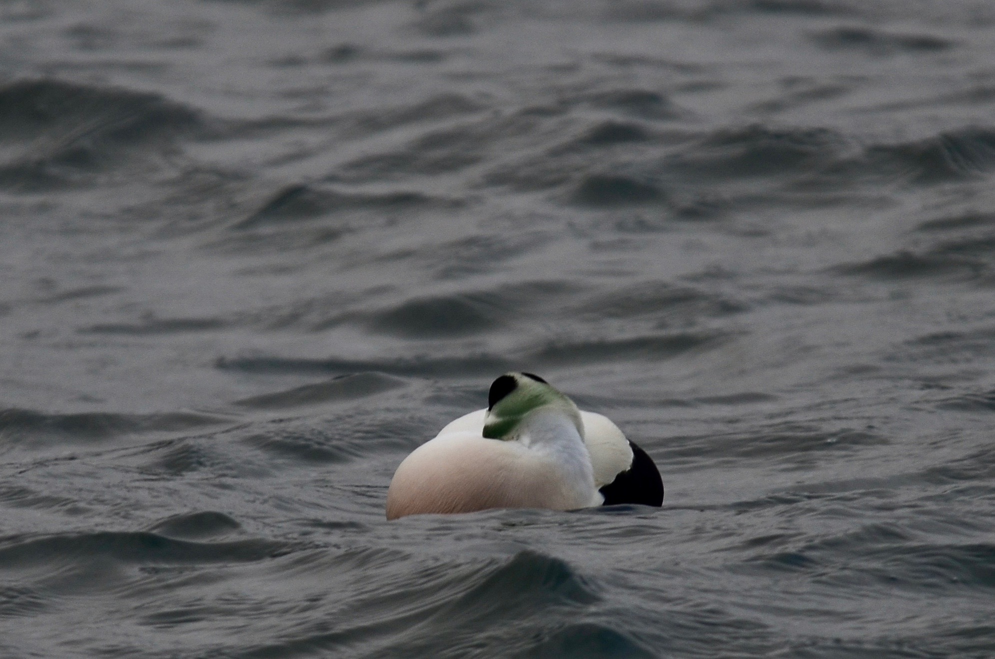 11 februari 2020: Guding - Fotosidan