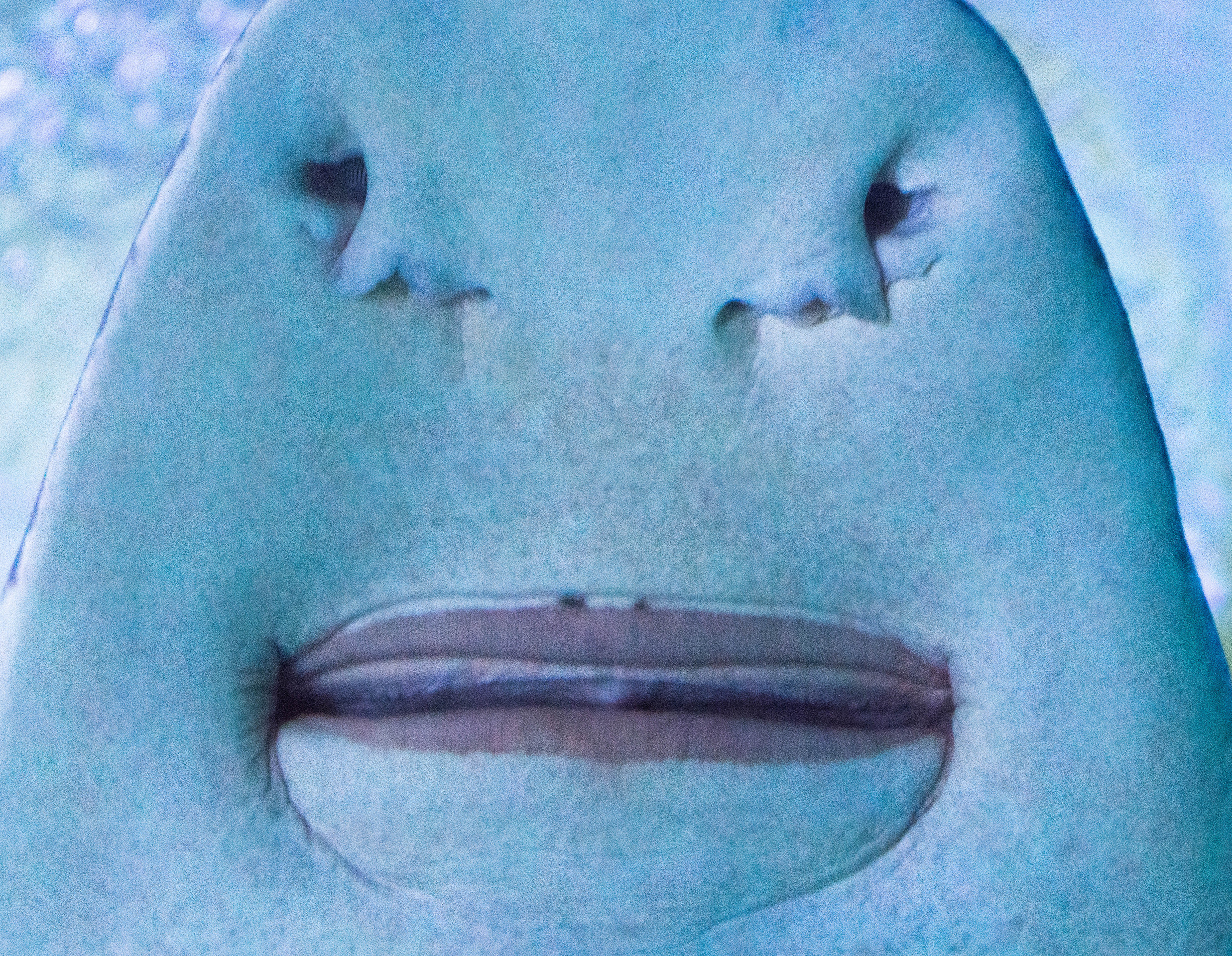 DAGENS SMIL - Fotosidan