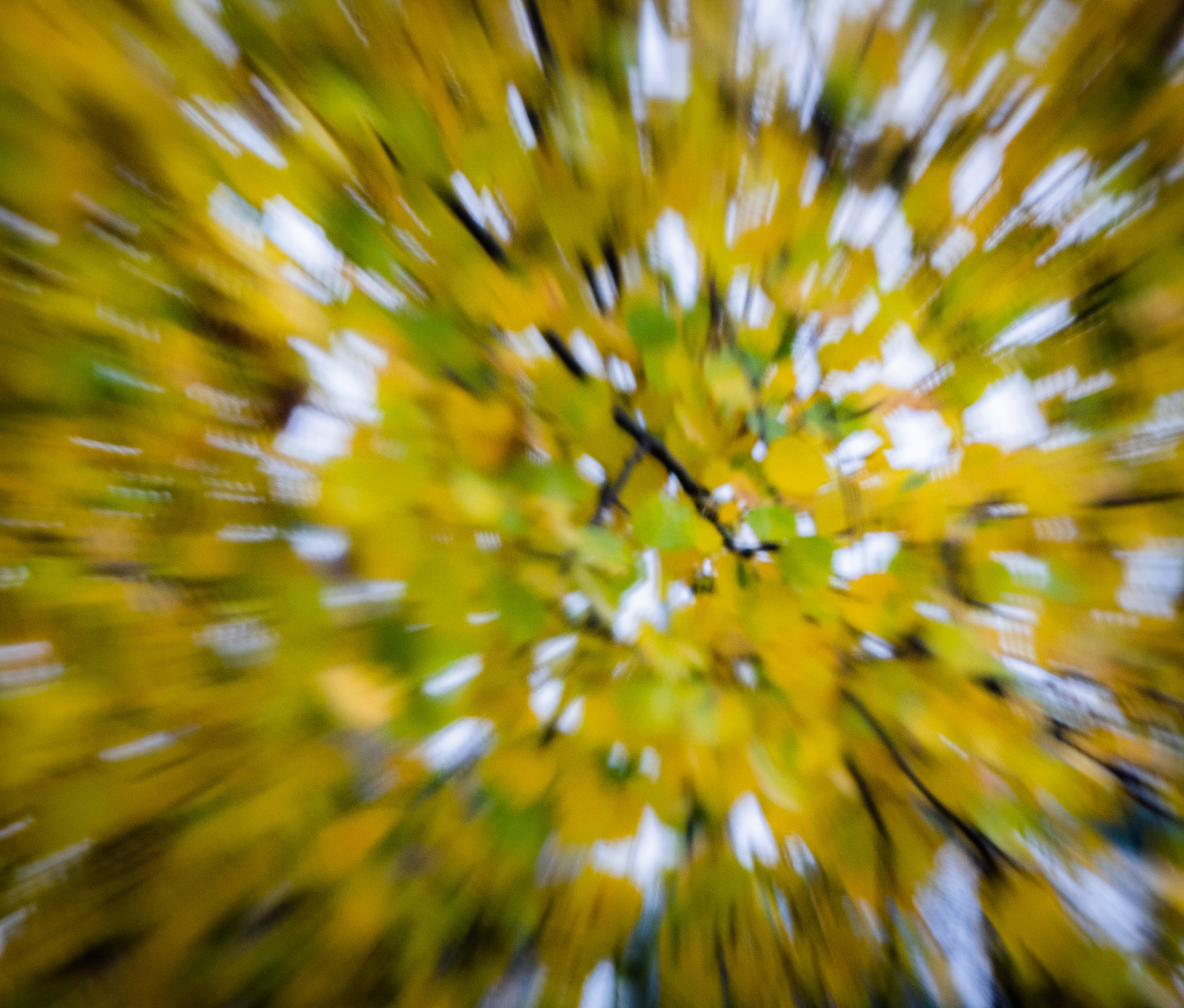 Vått, vått - Fotosidan